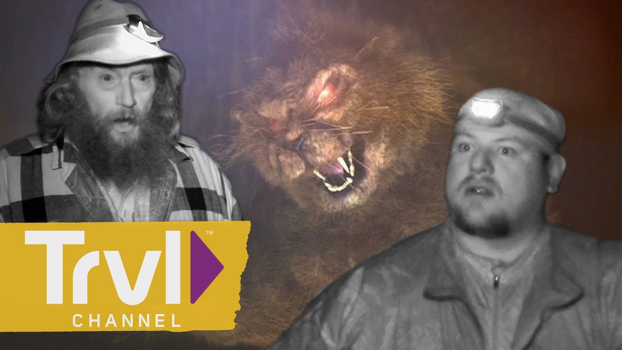 Photo Evidence of the Cherokee Death Cat | Mountain Monsters | Travel ...
