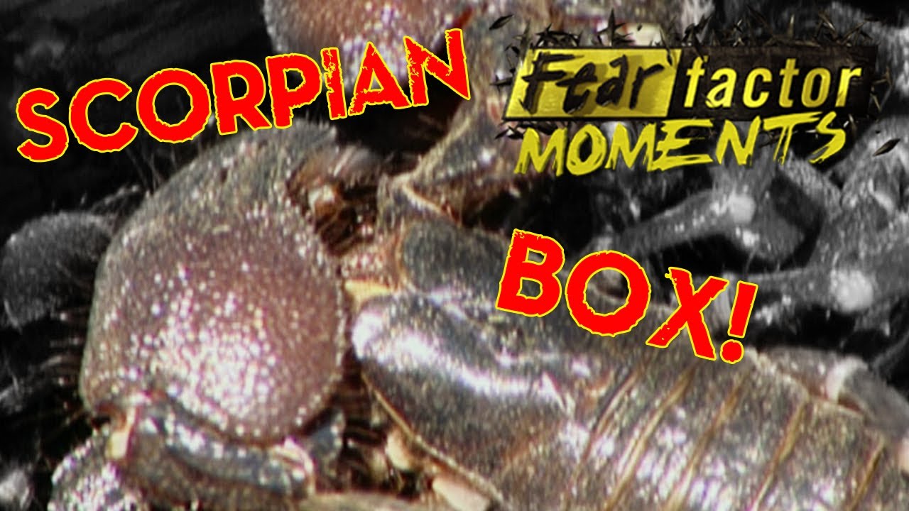 Fear Factor Moments | Scorpion Helmet Spin - YouTube