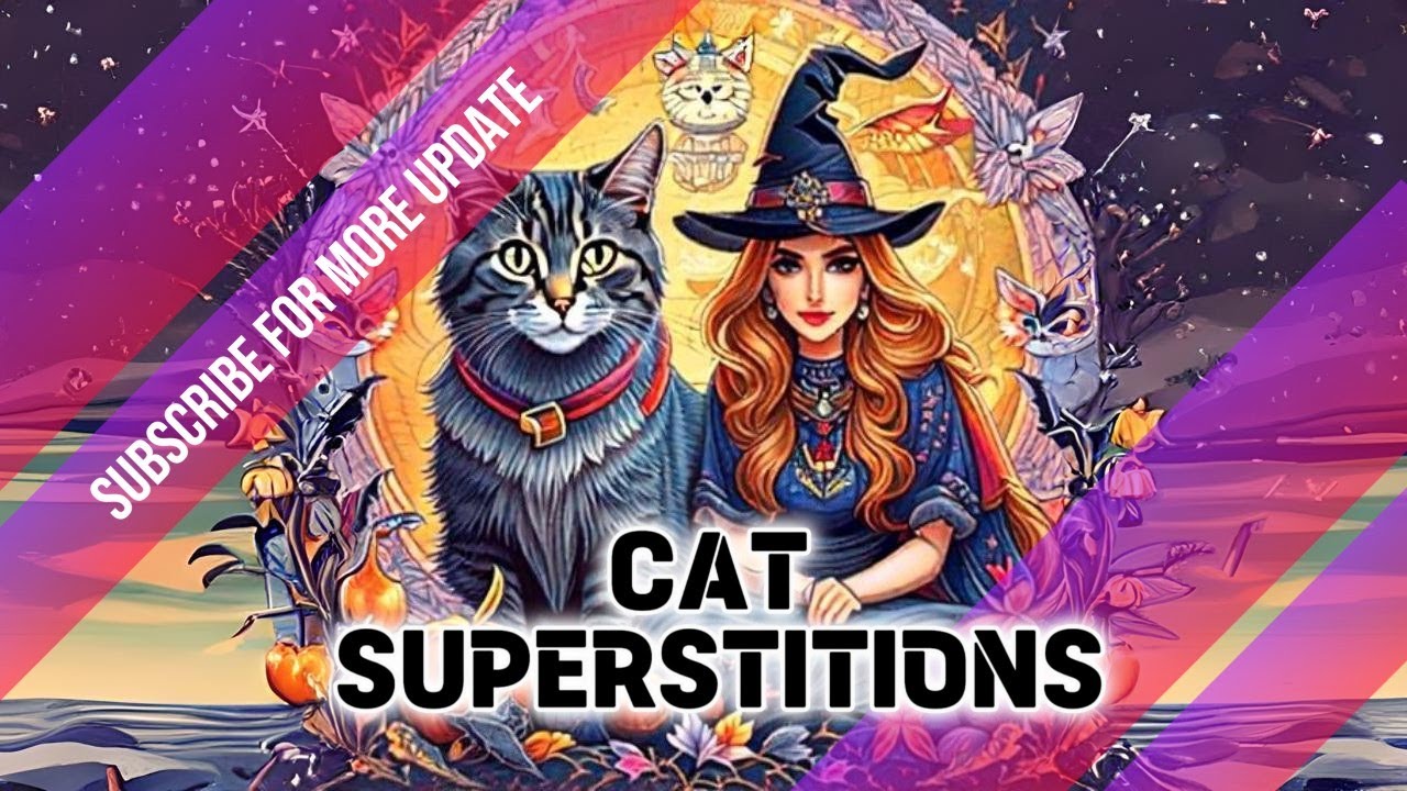 Superstitions About Cats From Around the World - YouTube