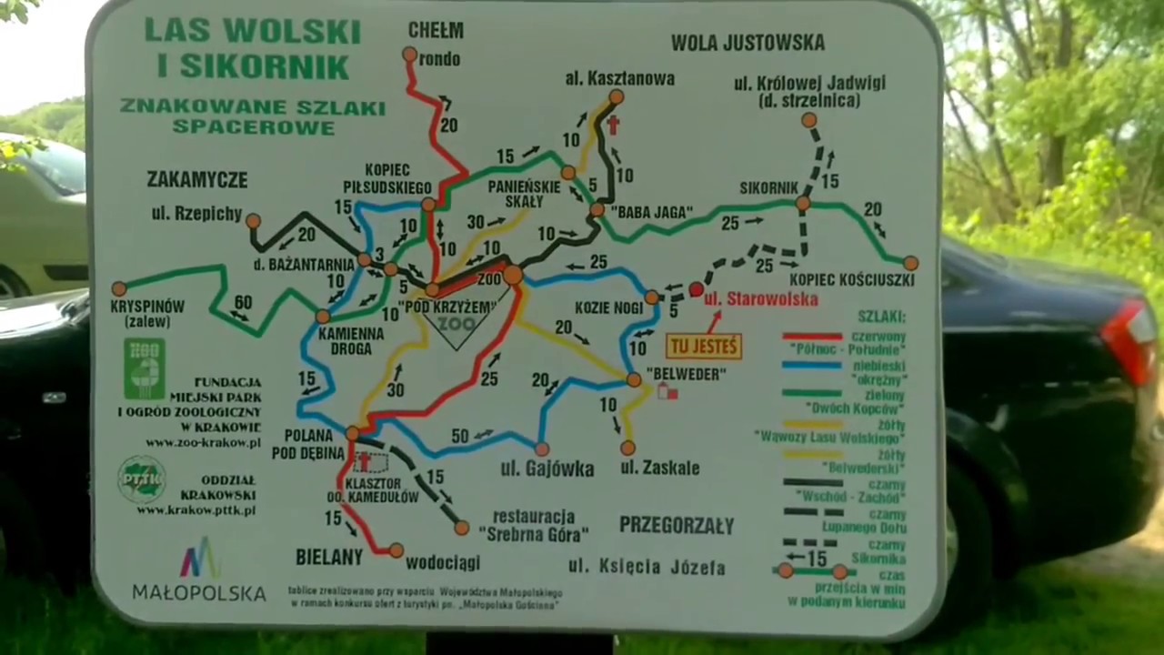 Cracow. Wolski Forest. Kraków. Las Wolski. Краков. Вольский лес. 2018 ...