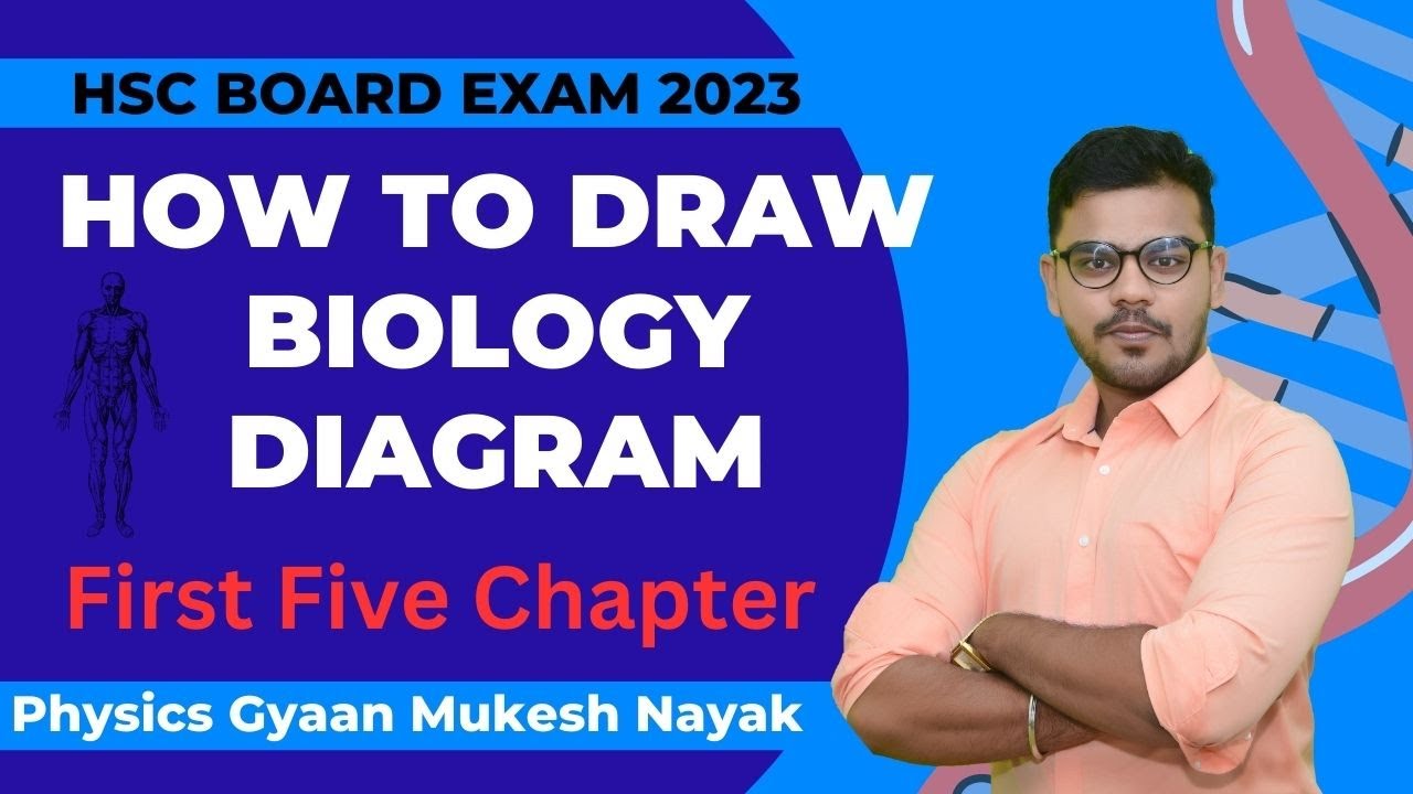 How To Draw Biology Diagram Biology HSC Board Exam 2023 YouTube how-to-draw-biology-diagram-biology-hsc-board-exam-2023-youtube