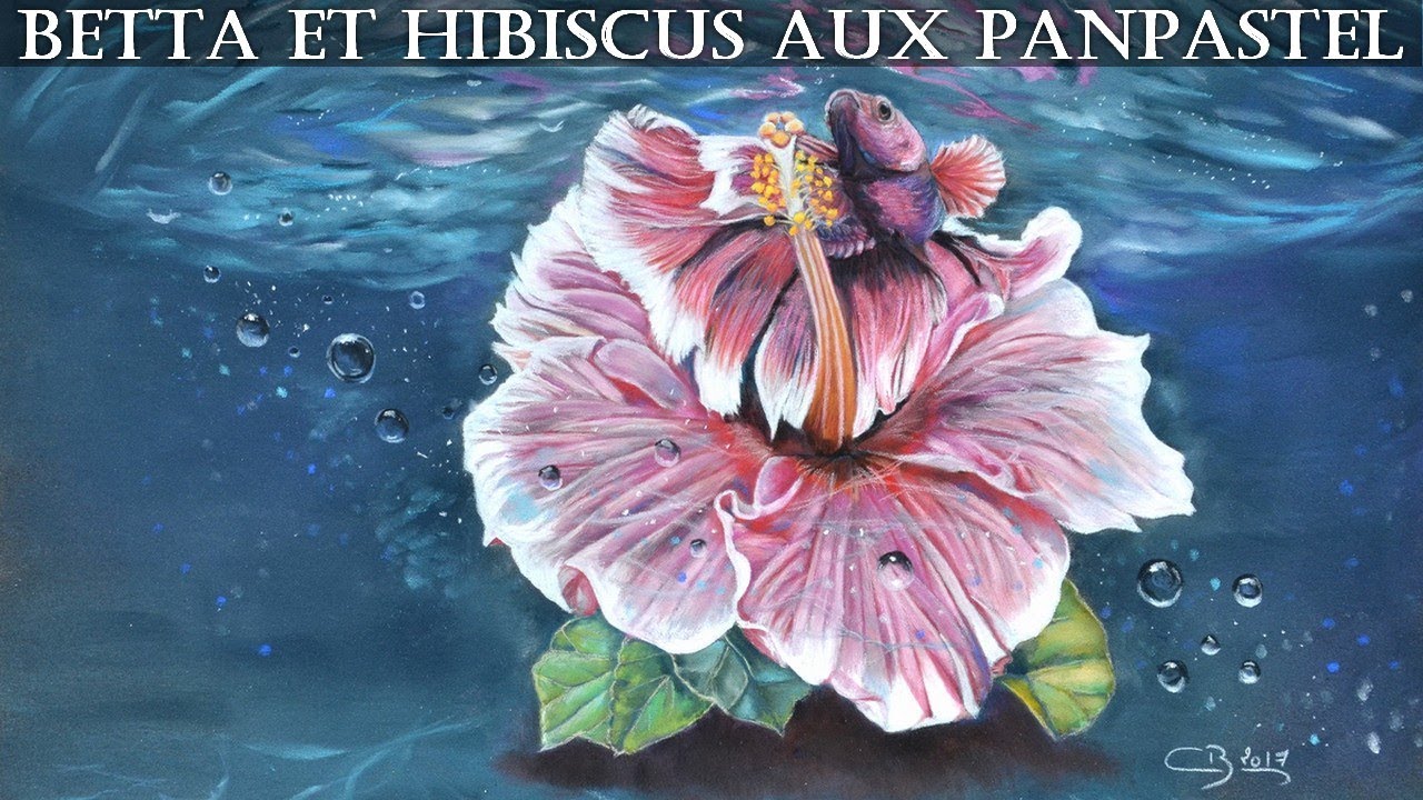 Démonstration de PanPastel - YouTube