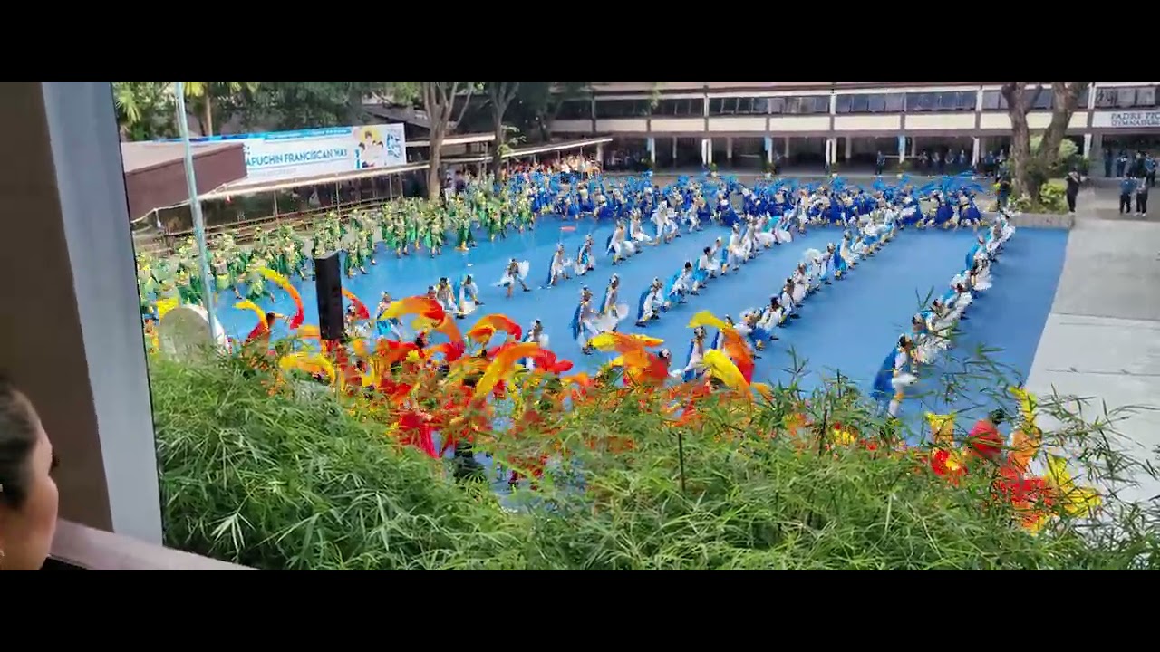 field demo - YouTube