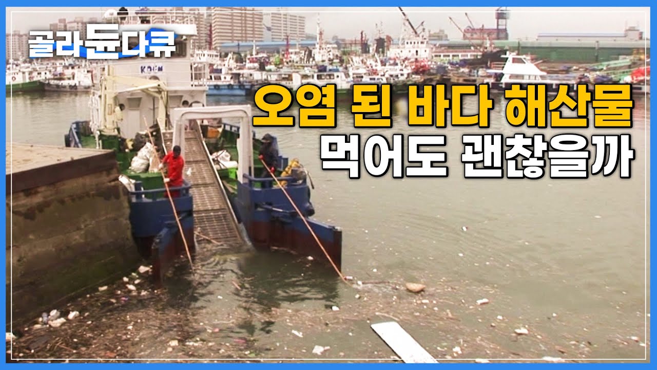 한국의 충격적인 오염 된 바다 바다 밑에 쓰레기 장 수중 침적 폐기물 수거 항구의 숨은 파수꾼 해상 부유물 수거반