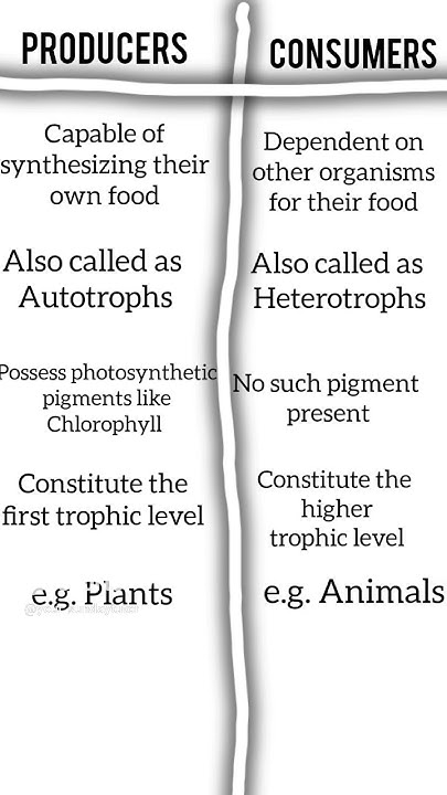 5 differences b/w Producers and Consumers for Class 10th and above IN ...
