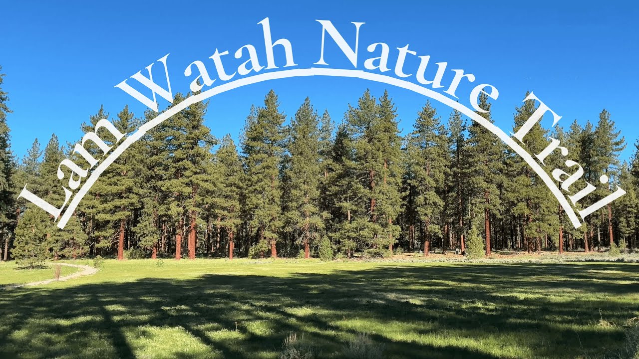 First Person Virtual Hike – Lam Watah Nature Trail to Nevada Beach ...
