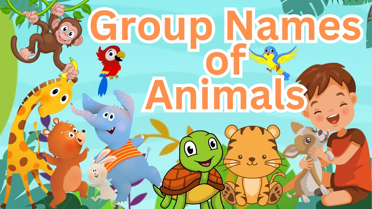 Animal group names|Collective noun for animals|English Vocabulary ...