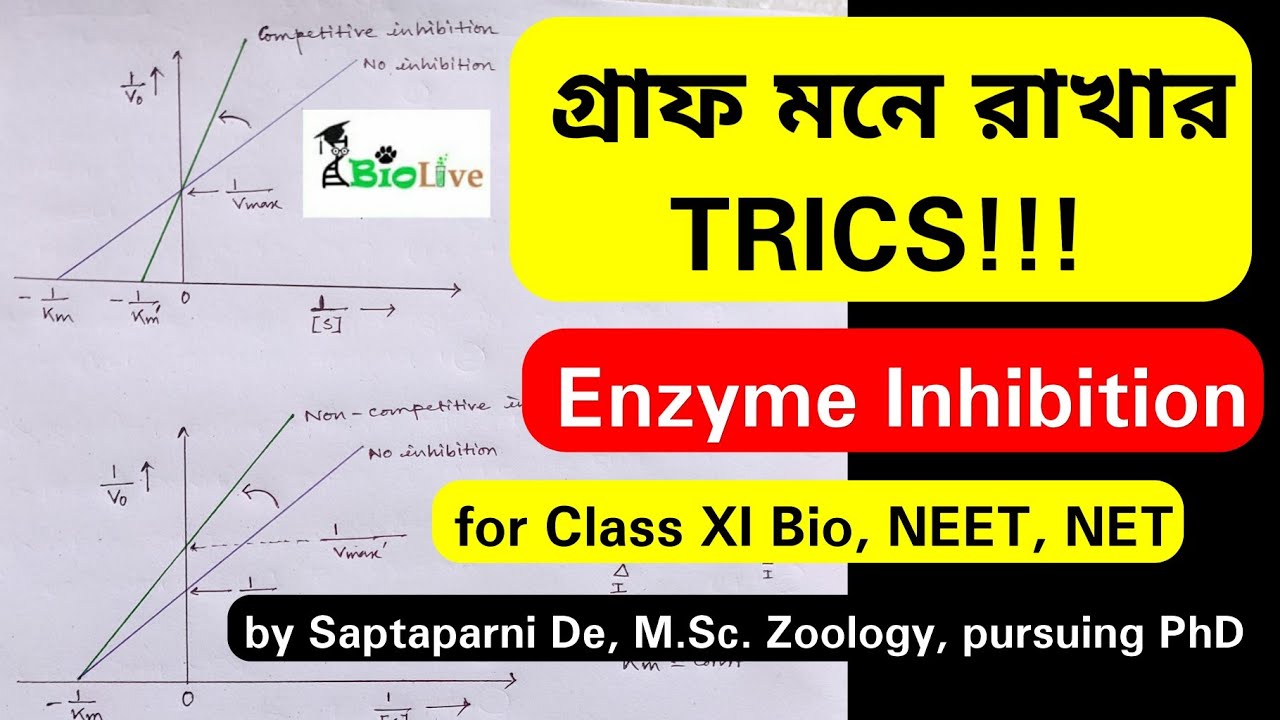 Enzyme Inhibition Graphs: Tricks to Remember - YouTube