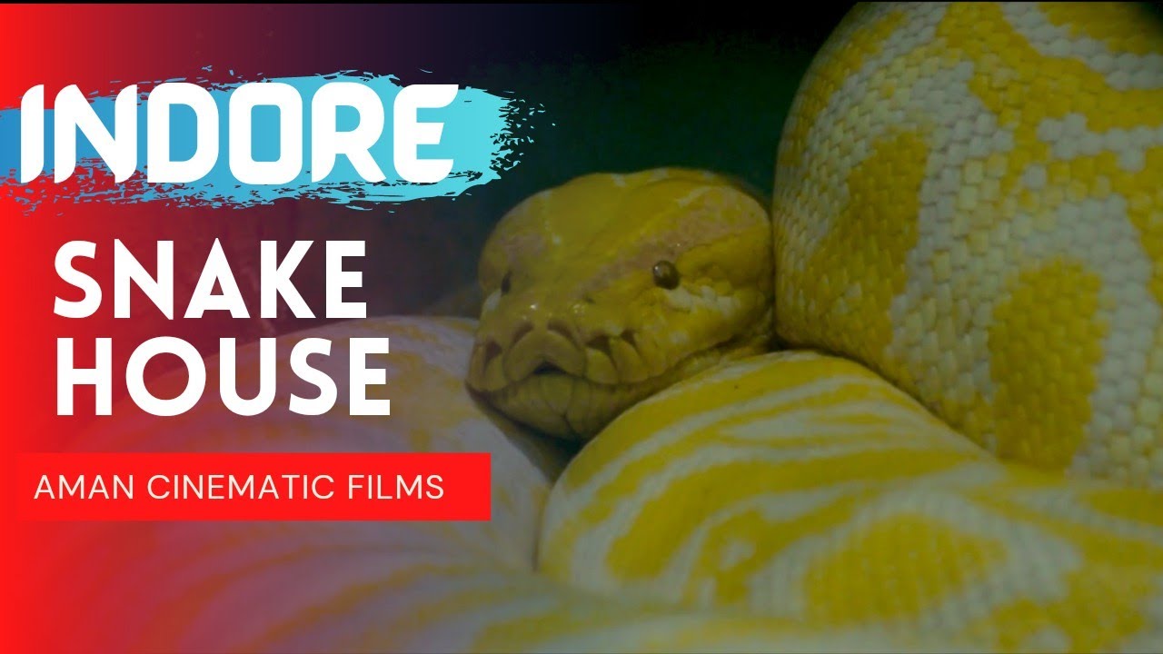 Snake House in 4K || Indore Zoo || Cinematic Video || Indore | Cleanest ...