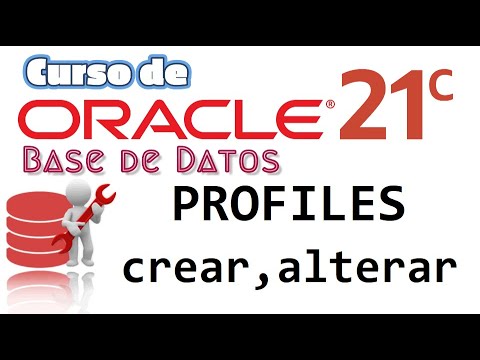 Oracle Base de Datos 21c desde cero para principiantes | PERFILES ...