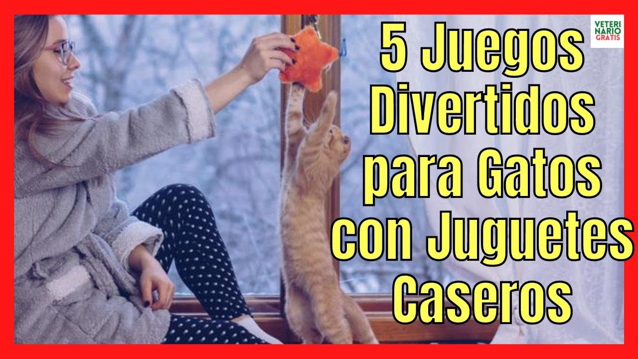 5 JUEGOS DIVERTIDOS PARA GATOS CON JUGUETES CASEROS 💝 PARA ENTRETENER A ...