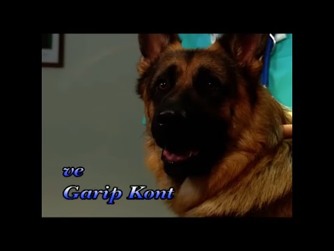 Arka Sokaklar 19. Sezon Jenerik - 4. Versiyon