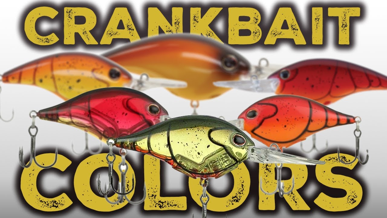 Spring Crankbait Bass Fishing | Spawn Fish Transition Bait Size & Color ...