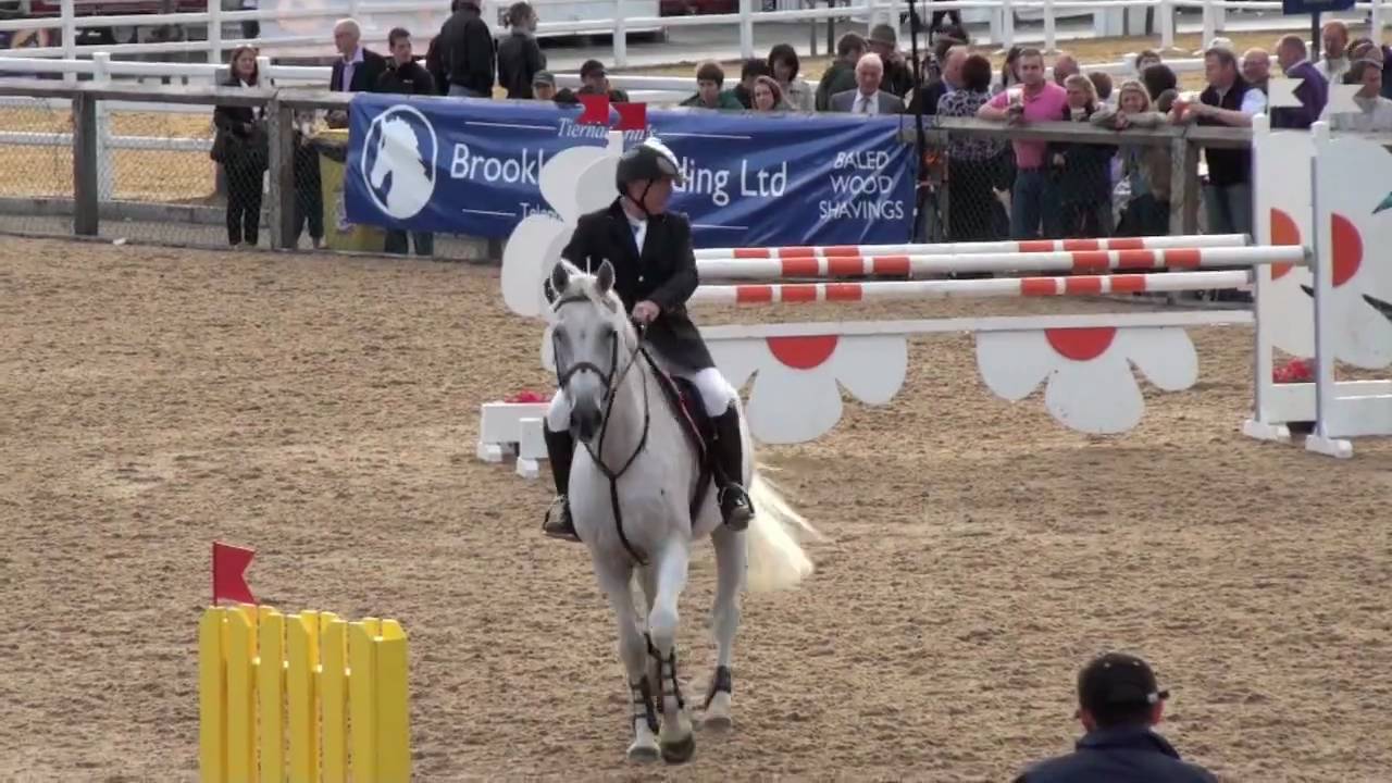 Paddy Ward @ Royal Dublin Horse Show 6th August 2010 - YouTube