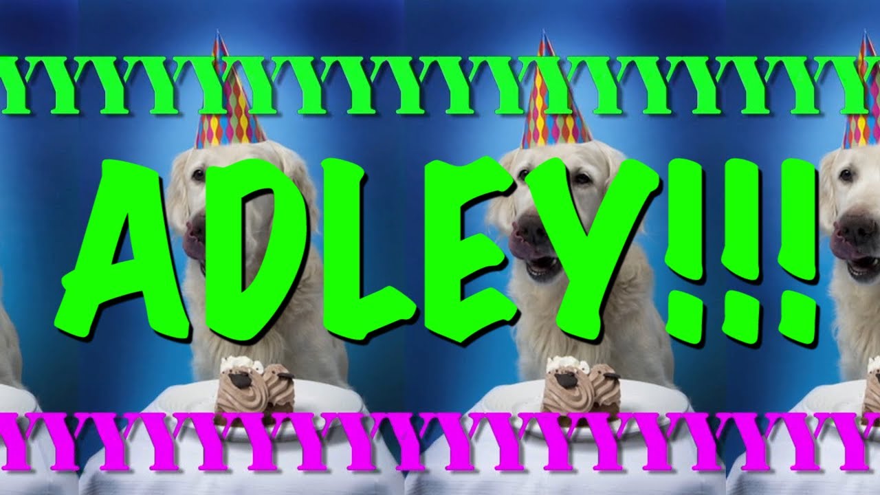 HAPPY BIRTHDAY ADLEY! - EPIC Happy Birthday Song - YouTube