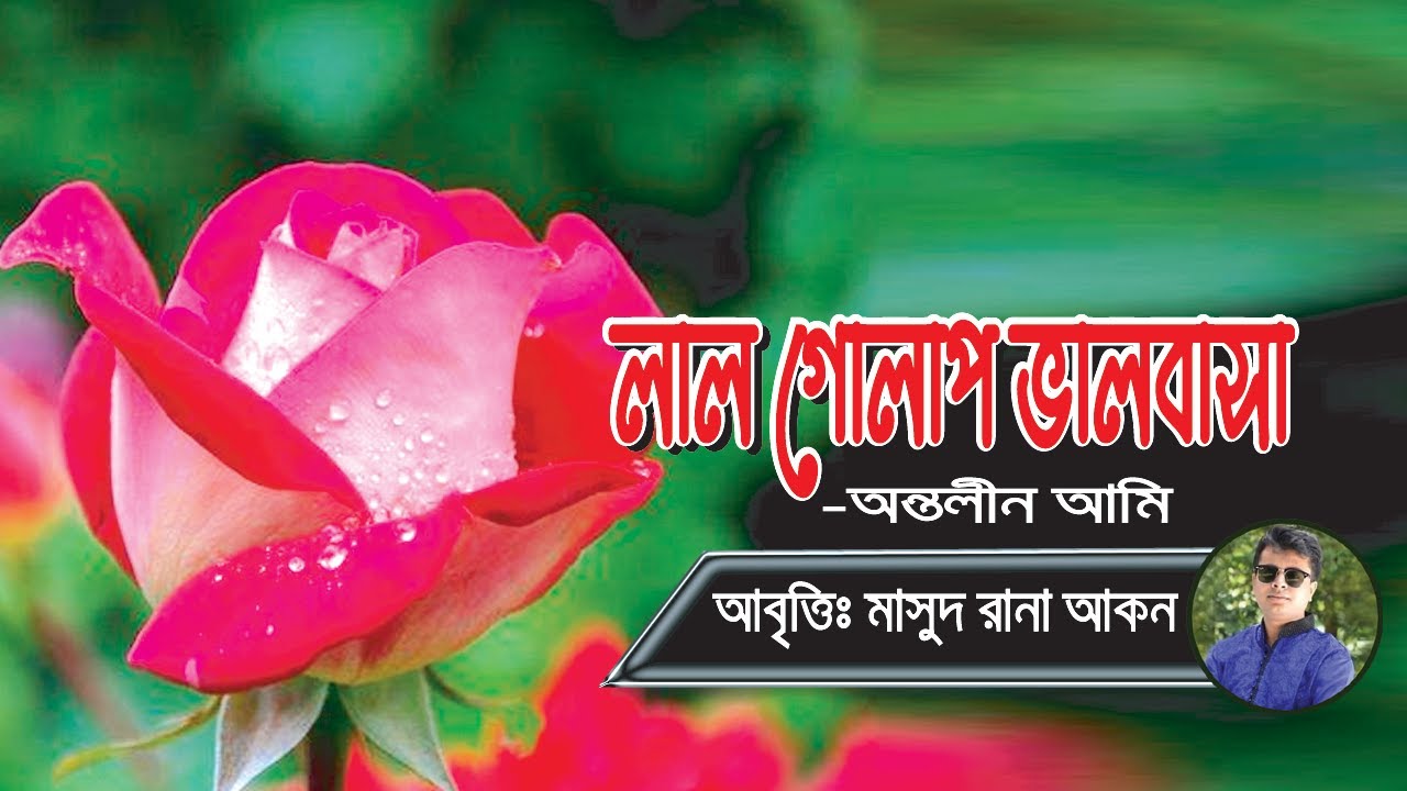 Lal Golap Valobasha • লাল গোলাপ ভালবাসা • আবৃত্তি- মাসুদ রানা আকন ...