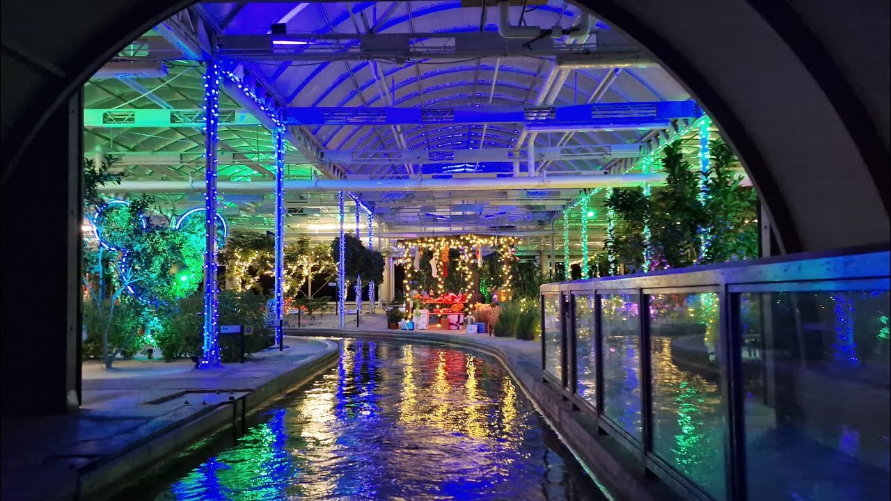 Discover Nature's Wonders: Living with the Land's Glimmering ...