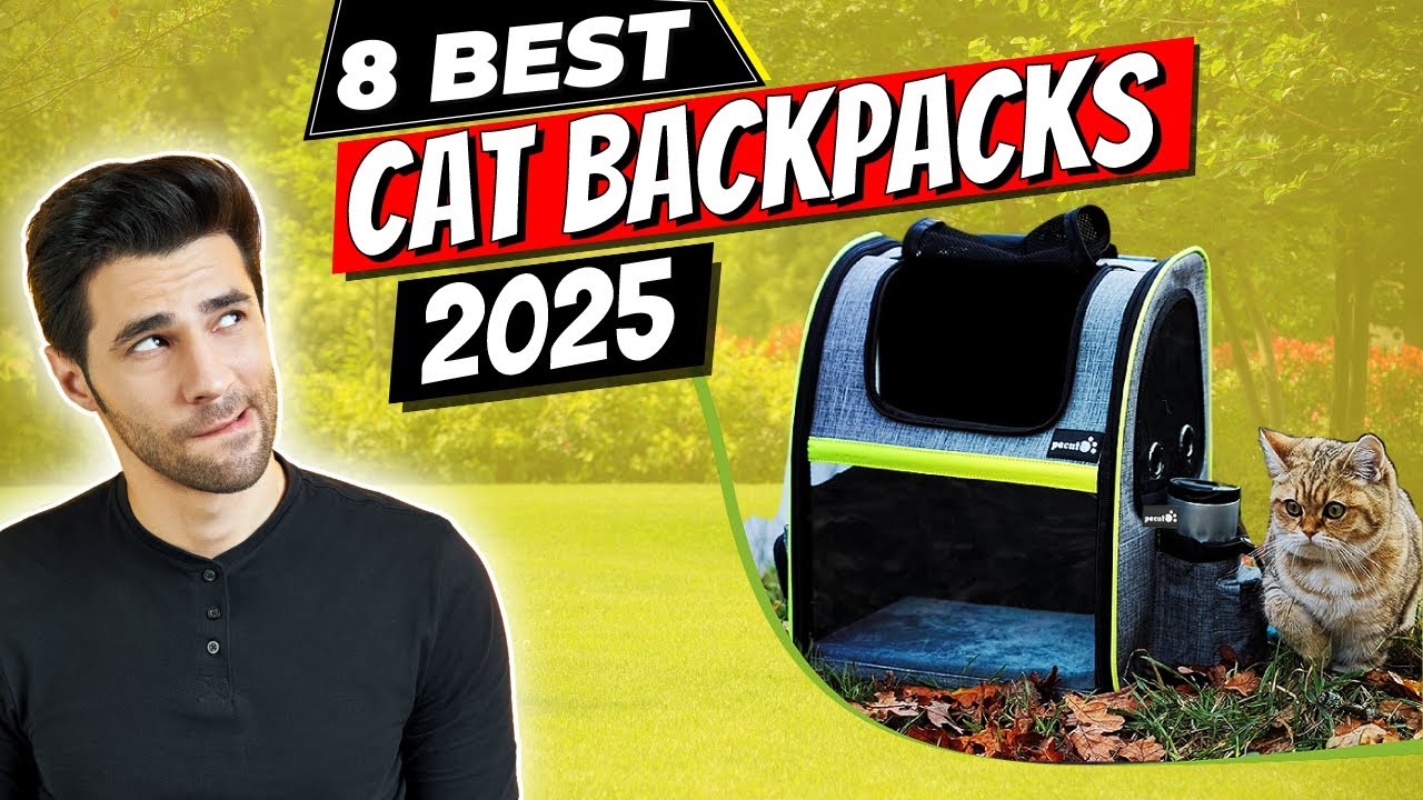 Best Cat Backpacks of 2025 | Find the PURRfect Cat Backpack for Your ...