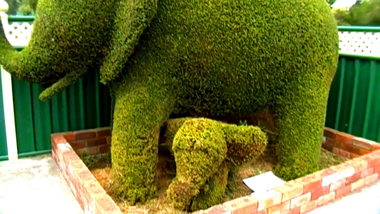 GREEN Elephants - YouTube