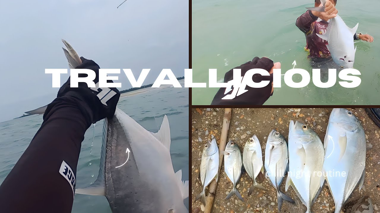 Ep. 25| Certified Trevally Island! @Palawan Fishing! - YouTube