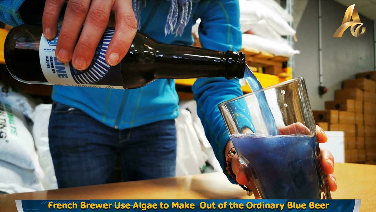 French Brewer Use Algae to Make Out of the Ordinary Blue Beer - YouTube