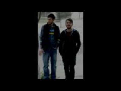 Diyarbakirli mice - yanliz bir gece şiir