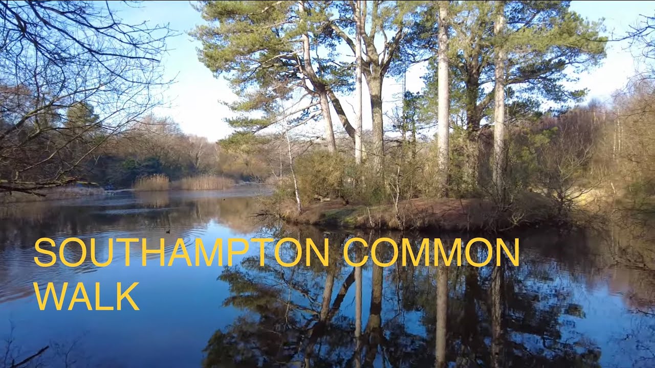 Southampton Common Walk Beautiful Cold Frosty Sunny Day in Nature SO ...
