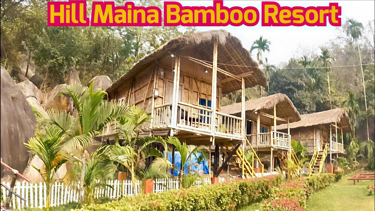 Hill Mynah bamboo resort_ chanaka Assam - YouTube