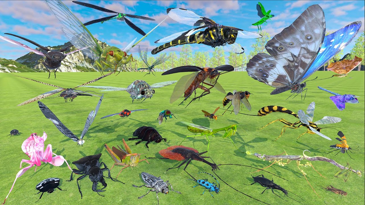 Realistic Insect Size Comparison - 3D Animal Animation Comparison - YouTube