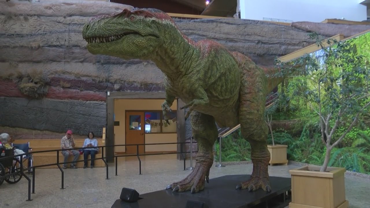 Bisti Beast makes its debut at New Mexico Museum of Natural History and ...