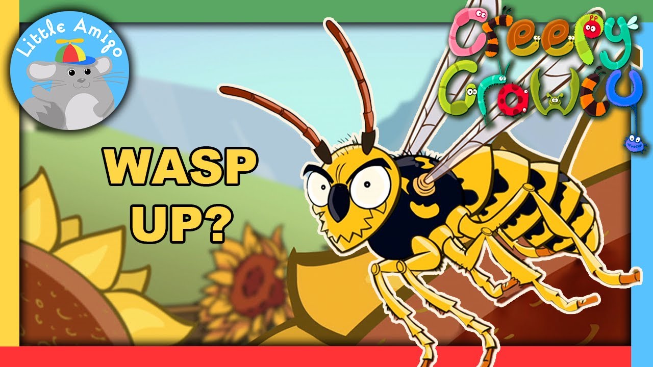 WASP | I'm A Creepy Crawly | Little Amigo | Preschool Cartoons - YouTube