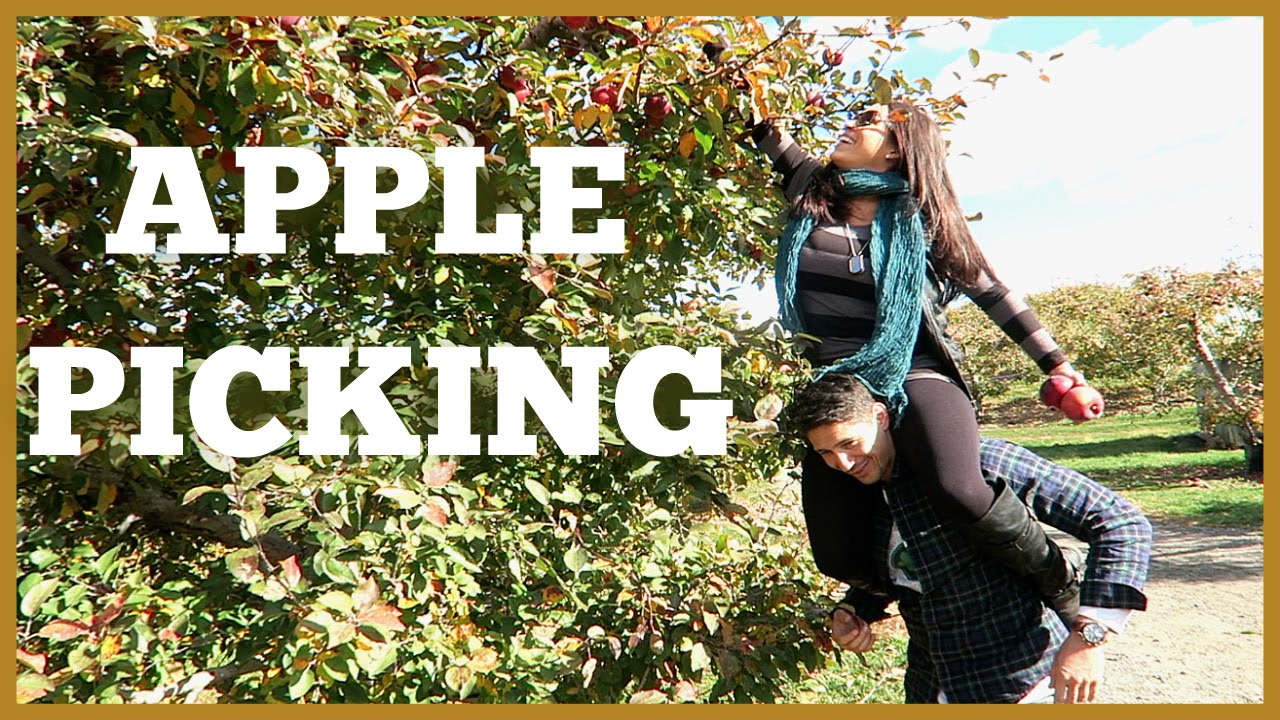 How to Pick Apples (The NYC Couple) - YouTube