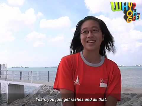 Meet Amanda Ng, Singapore YOG Hopeful - Windsurfer - YouTube
