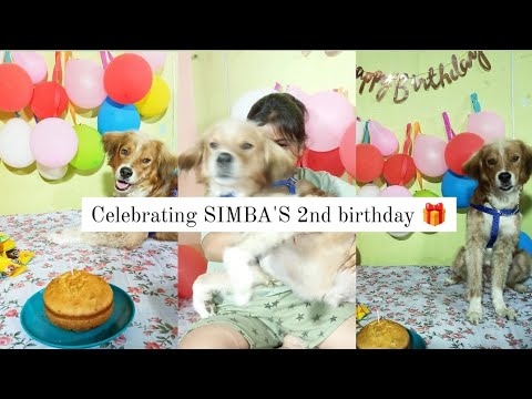 Celebrating SIMBA'S 2nd birthday | | Me vlogs | | vlog - 04 - YouTube