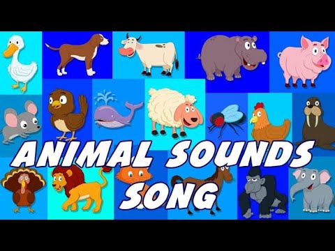 Sing Along with Animal Sounds: Fun and Educational Songs for Kids! # ...