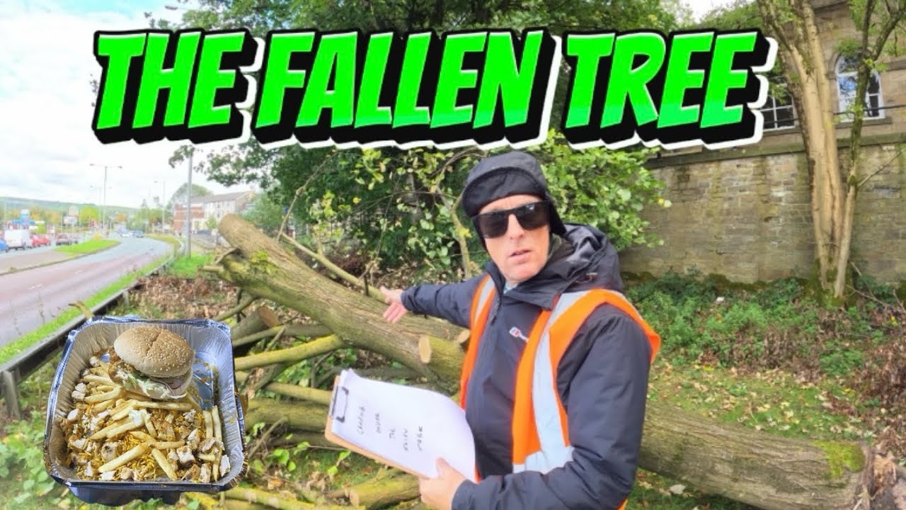 Stealth Camping under Fallen Tree side of a dual carriageway - YouTube
