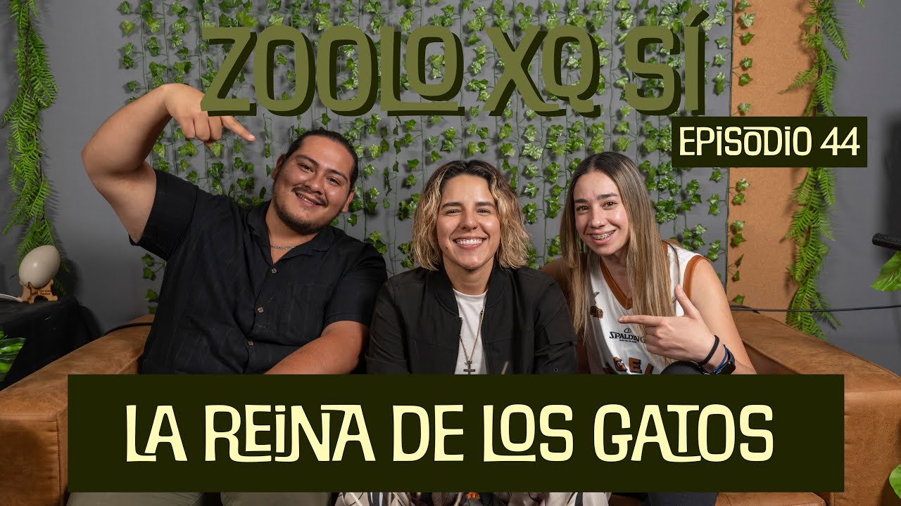 La REINA de los GATOS| Episodio #44 - YouTube