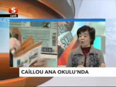 Caillou'nun çocukların gelişimi üzerinde yarattığı etki