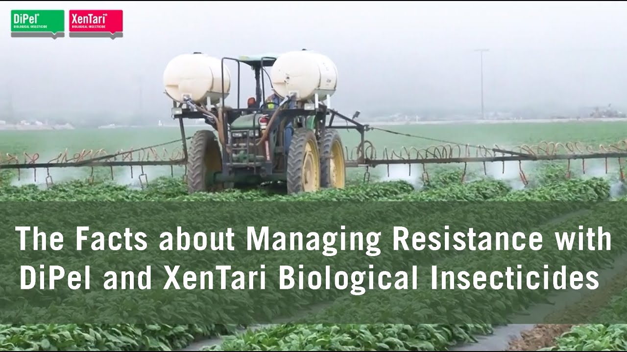 The Facts about Managing Resistance with DiPel and XenTari Biological ...