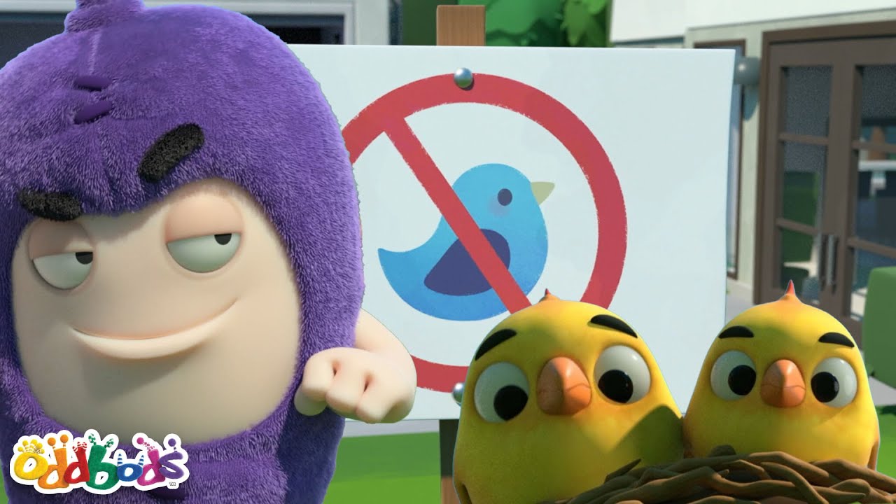 The Birds | Brains vs Beaks | OddBods | Kids Show | Toddler Learning ...