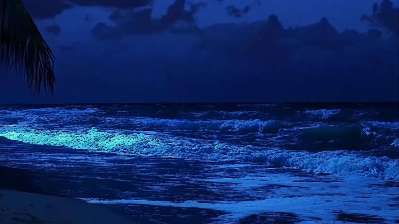 Nocturnal Sea Waves Embrace the Peaceful Rhythms of the Ocean at Night ...