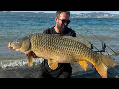 Bir Kampta 10 DEV SAZAN Yakaladık! İnanılmaz Sazan Kampı🎣