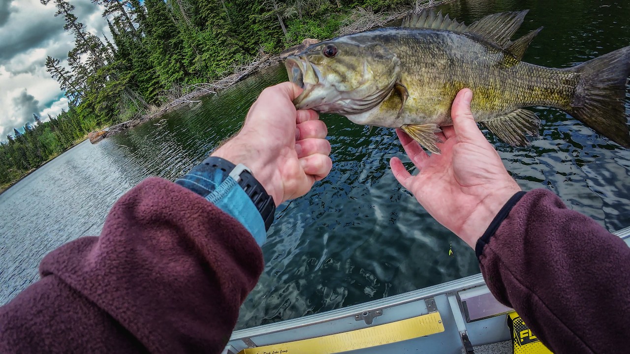 Ultimate Fishing Excursion: Walleye, Pike & Bass Bonanza! - YouTube