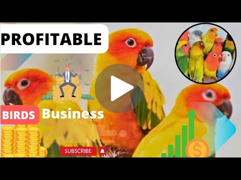 Profitable birds business || birds business || earn from birds ...