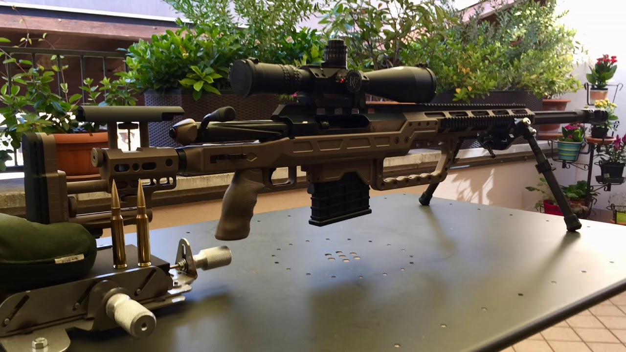 ELR and PRECISION Rifles from around the WORLD Video# 3 - YouTube