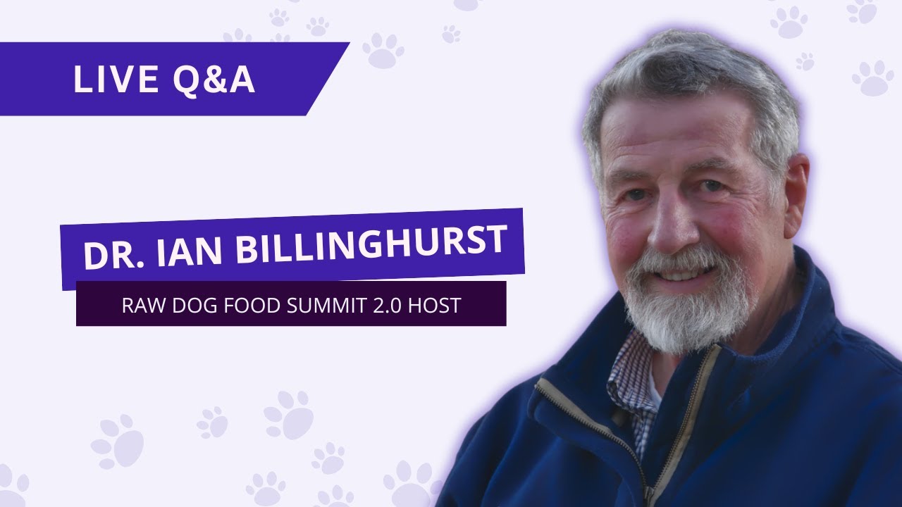 Raw Dog Food Summit Live Q&A with Dr. Ian Billinghurst - YouTube