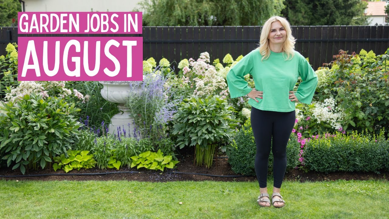Garden in August. August garden jobs - YouTube