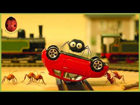 Ants On The Train | Minuscule | 50' Compilation