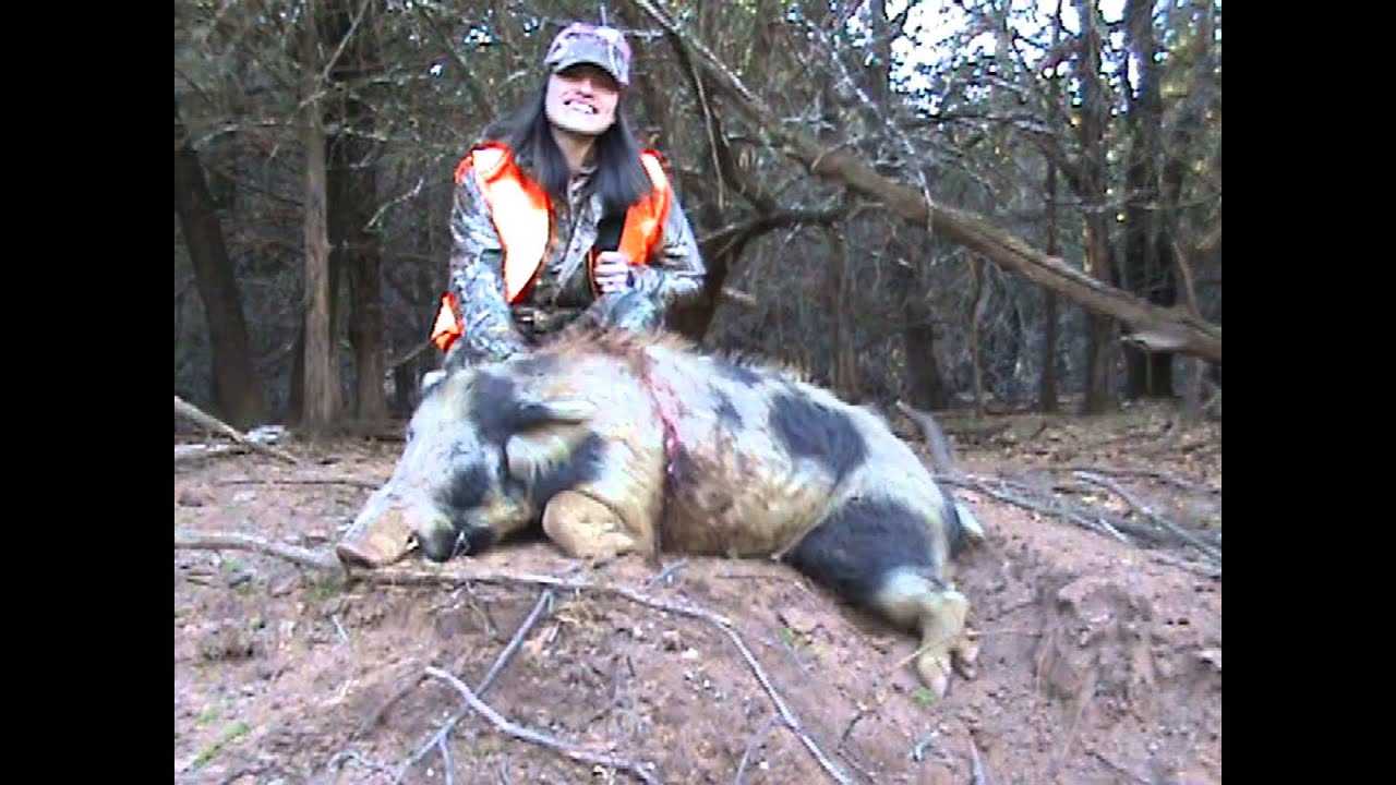 2016 No Mercy Outfitter Hog Hunt - YouTube