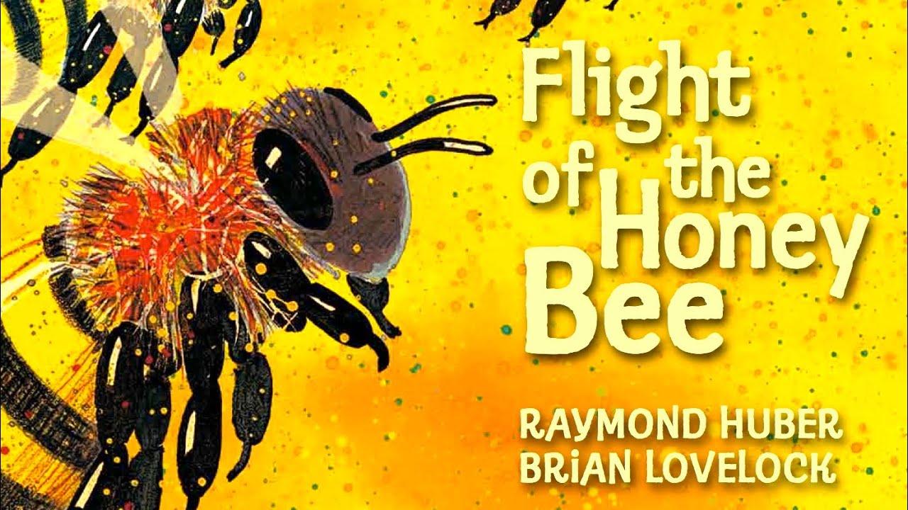 Flight of the Honey Bee - Raymond Huber - YouTube